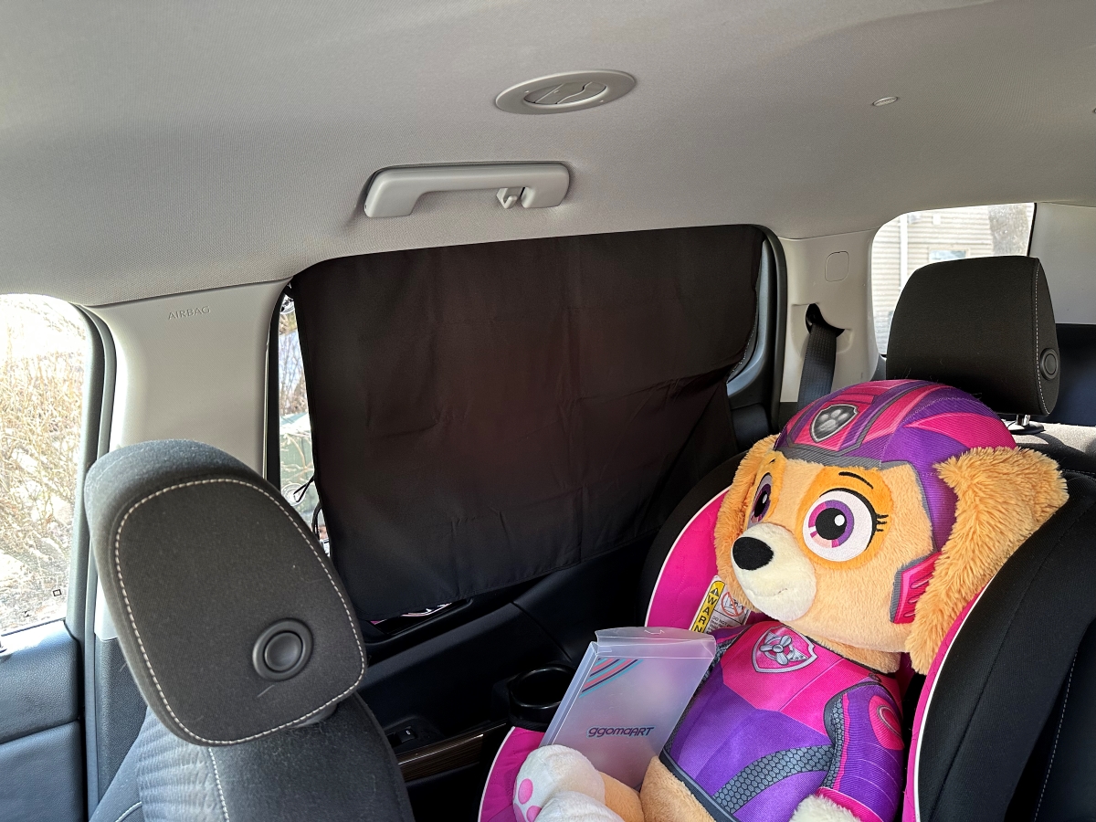 The Best Baby Car Sunshades this Year (based on our tests) - Kid Travel