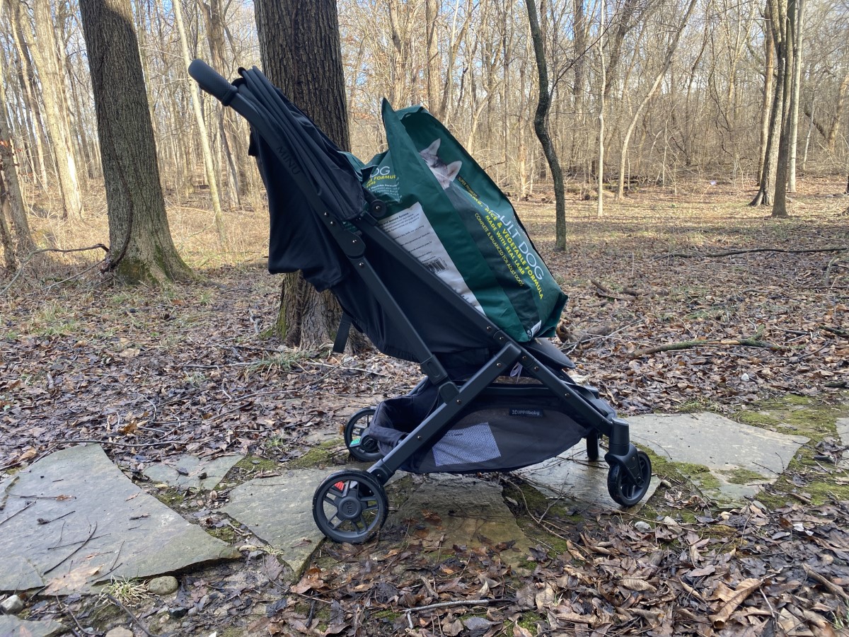 UPPAbaby MINU V2 Stroller Review (100+ Tests by Kid Travel)