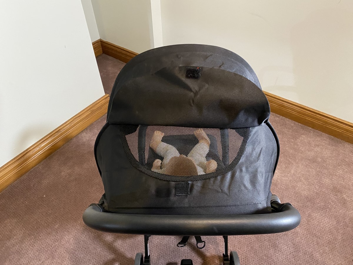 Inglesina Quid Stroller Review (100+ Tests by Kid Travel)