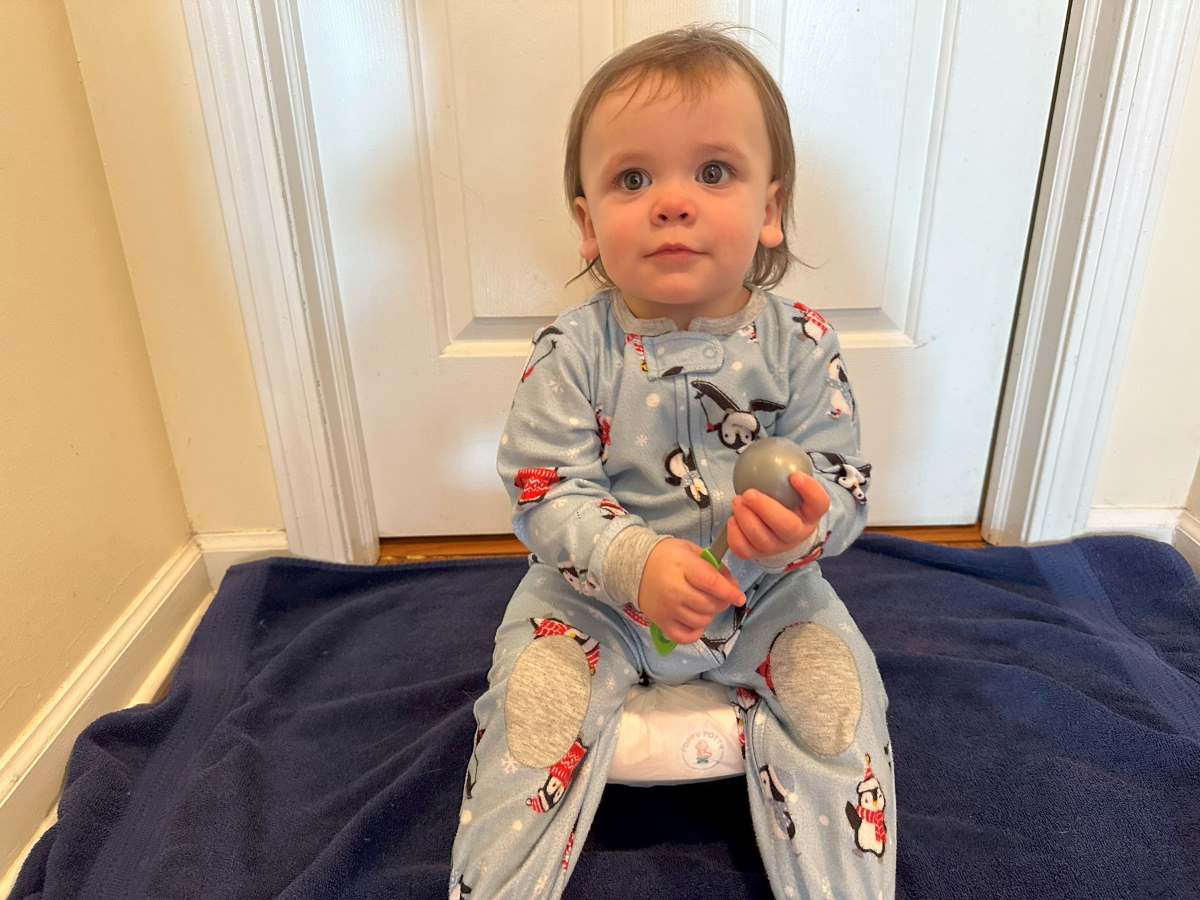 The Best Travel Potty Seats of 2023 (based on our tests) - Kid Travel